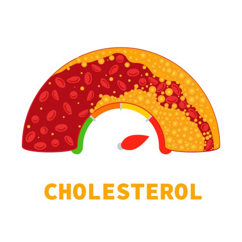 Lipoprotein Vector Images (over 370)
