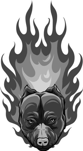 Fire Dog Vector Images (over 5,000)