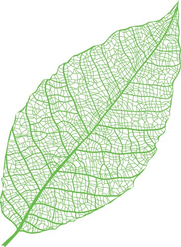 Leaf Vector Images (over 2.1 million)