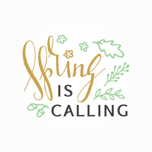 Handwritten calligraphic spring lettering Vector Image