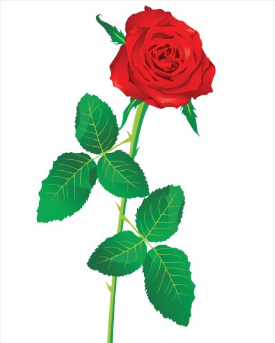 Rose Vector Images (over 290,000)