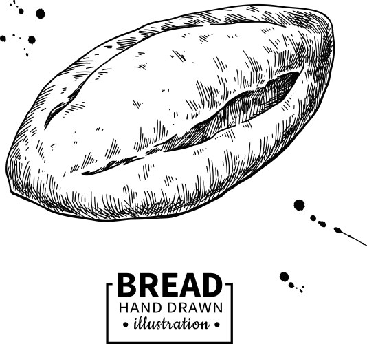 Bread drawing bakery product sketch Royalty Free Vector