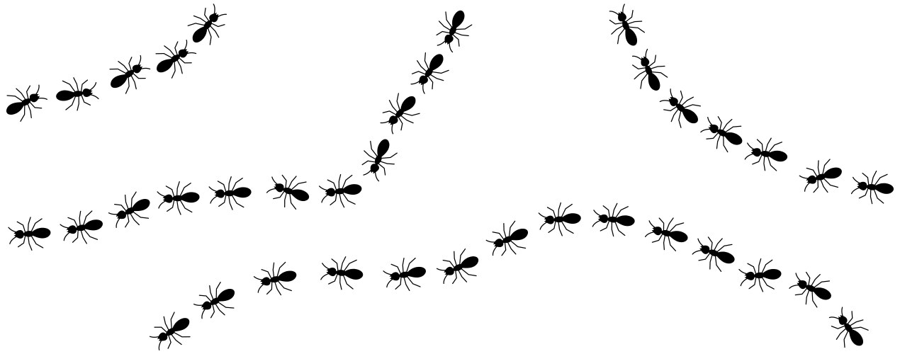 Red ants line 2 Royalty Free Vector Image - VectorStock