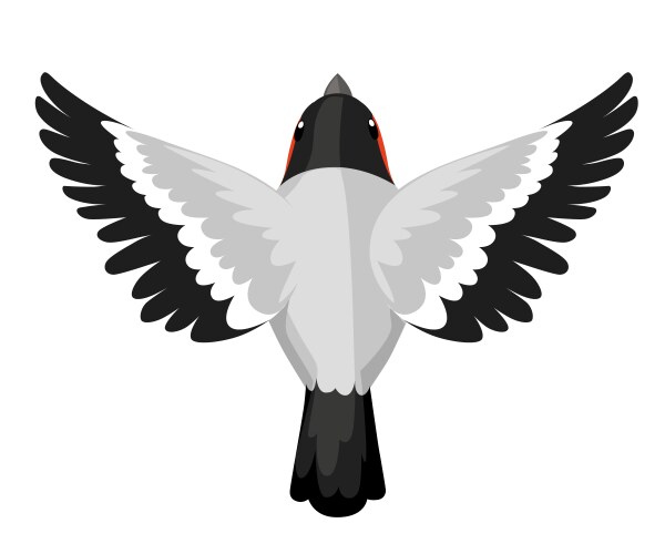Bird Flying Top View Vector Images (over 140)