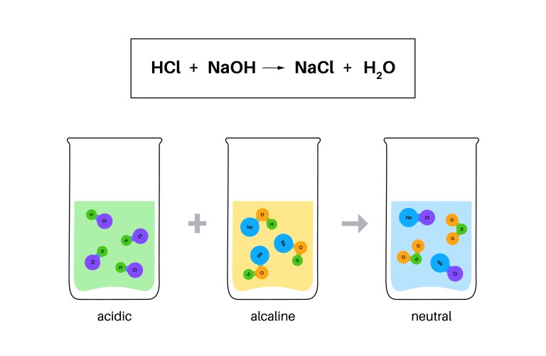 Acid-Base Neutralization Reaction – Royalty-Free Vector | VectorStock