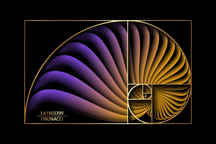 Fibonacci sequence circle golden ratio spiral Vector Image