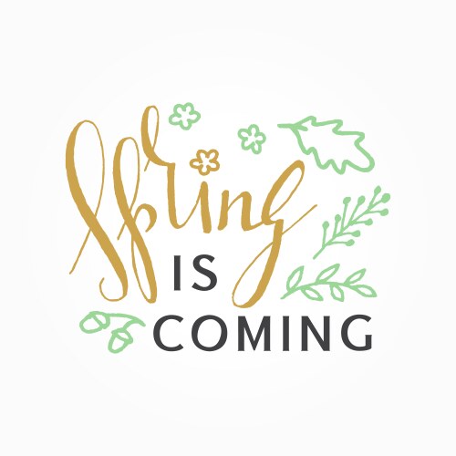 Handwritten calligraphic spring lettering Vector Image