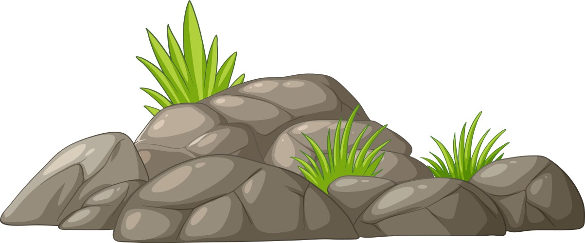 Gray boulders with growing grass natural Vector Image