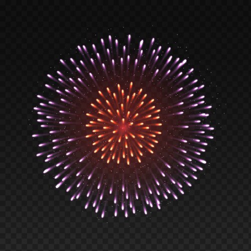 Sparkling firework palm shape realistic Royalty Free Vector