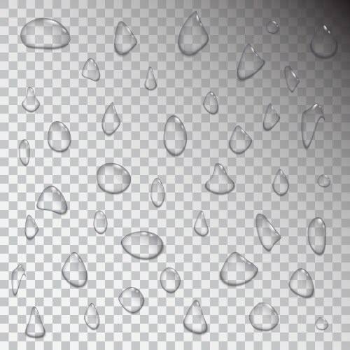Water rain drops or steam shower isolated Vector Image