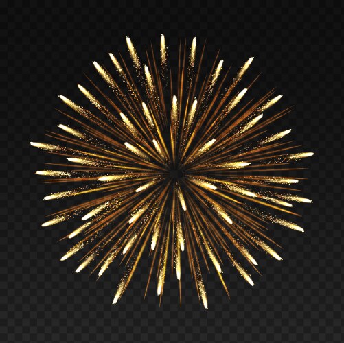 Golden firework coconut shape realistic – Royalty-Free Vector | VectorStock