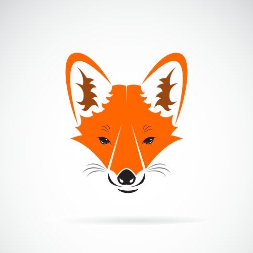 Fox face design on white background wild Vector Image