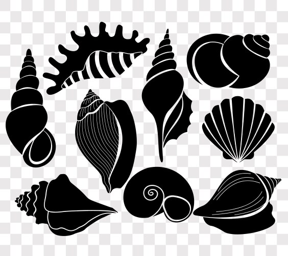 Sea shells seashell silhouettes set Royalty Free Vector