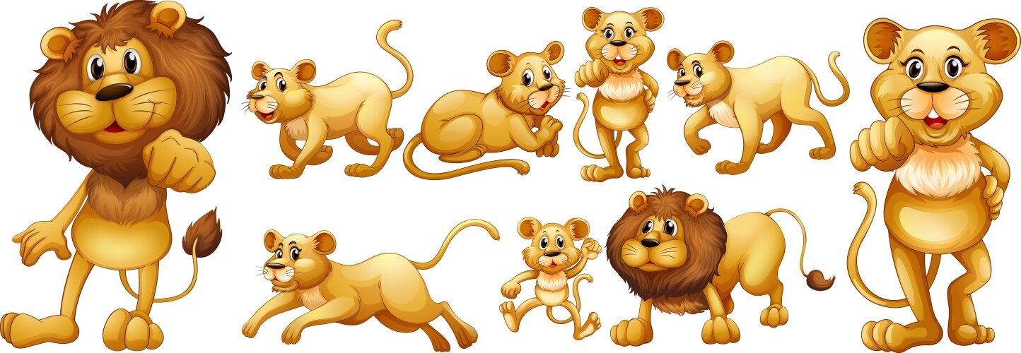 Three lions in the zoo Royalty Free Vector Image