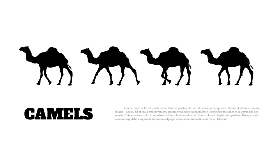 Camel Outline Vector Images (over 3,700)