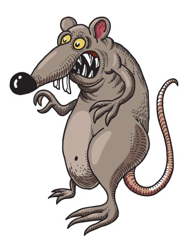Rat Royalty Free Vector Image - VectorStock