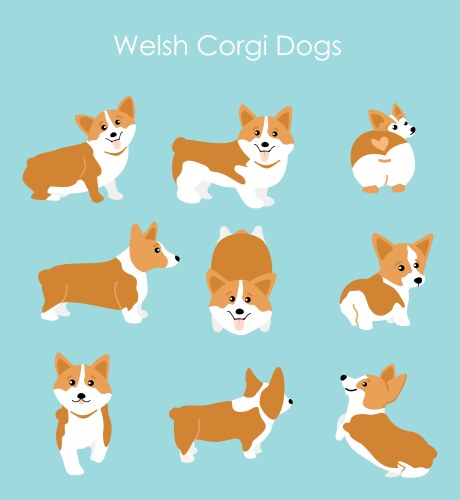 Cartoon characters welsh corgi set Royalty Free Vector Image