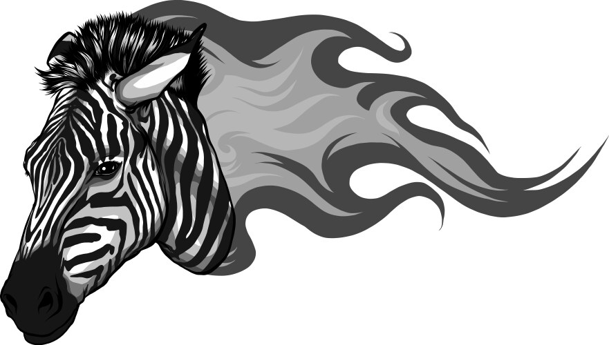 Zebra head with flames design Royalty Free Vector Image