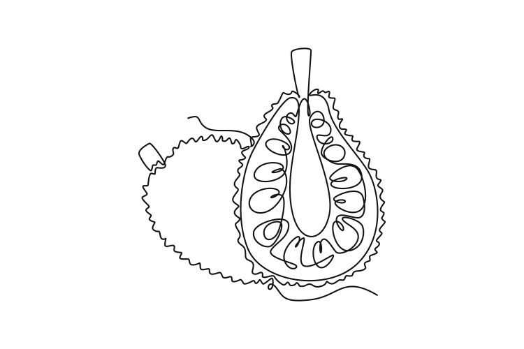 Jackfruit Tree Vector Images (over 260)