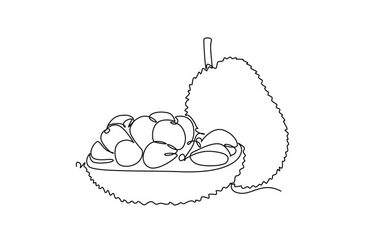 Jackfruit Tree Vector Images (over 260)