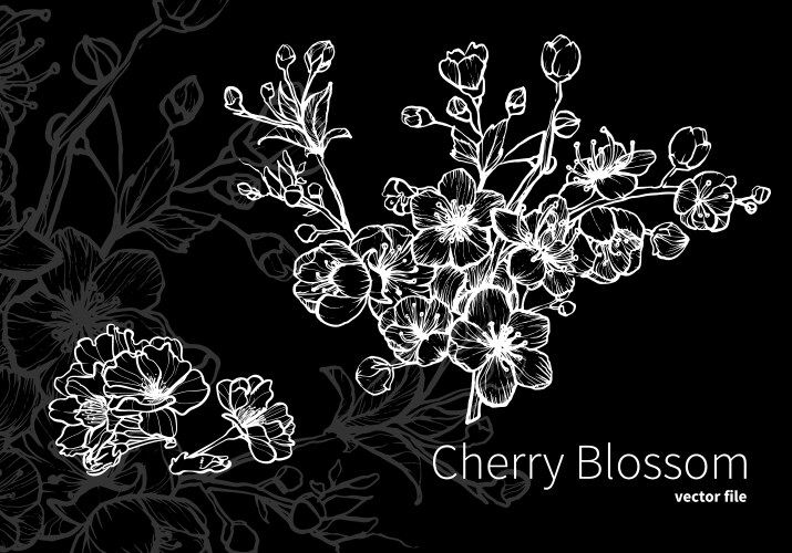 Cherry Outline Vector Images (over 22,000)