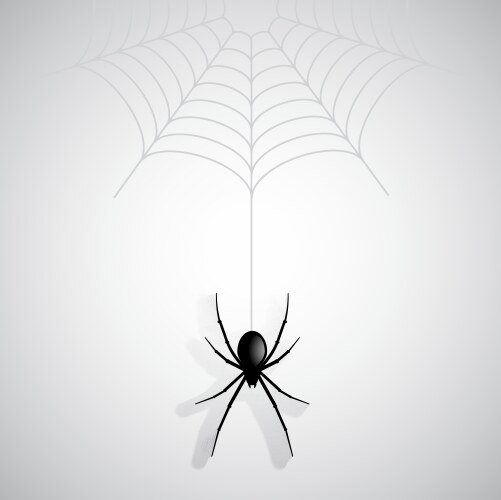 Cartoon black spider halloween Royalty Free Vector Image