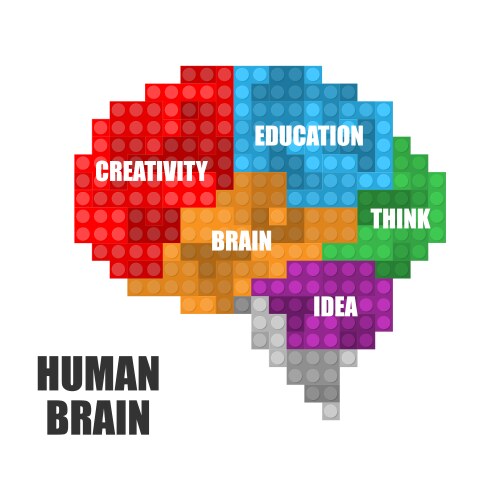 Human brain color pattern Royalty Free Vector Image