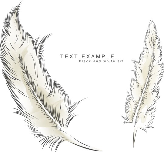 Hand writing with a feather Royalty Free Vector Image