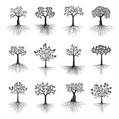 Black tree with roots outline Royalty Free Vector Image