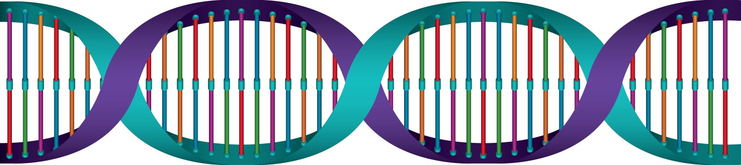 Horizontal dna chain science colorful icon Vector Image