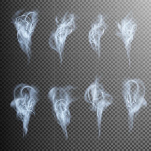 Isolated realistic cigarette smoke waves eps 10 Vector Image