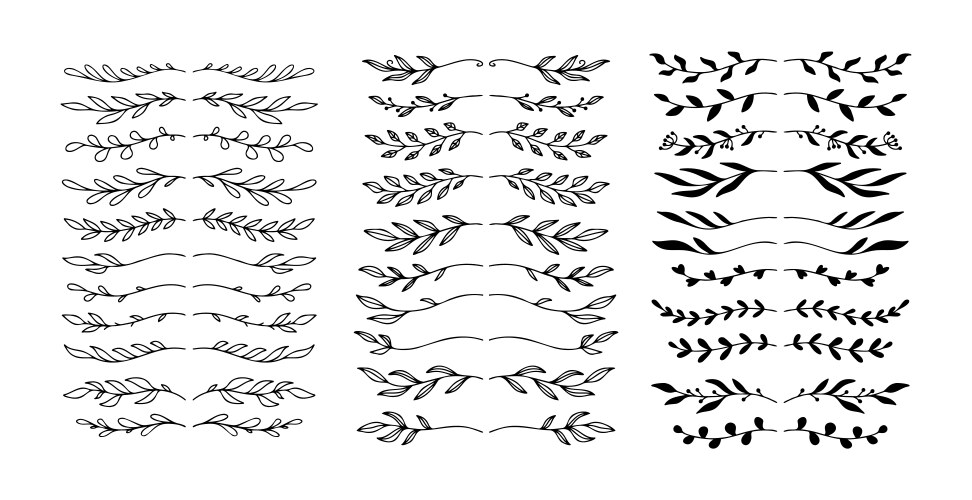 Hand drawn floral text divider isolated doodle Vector Image