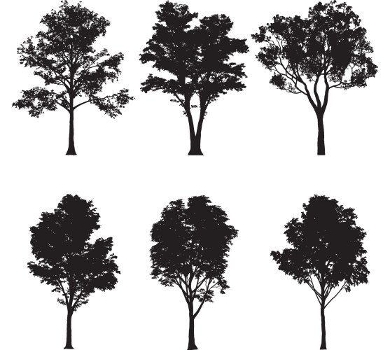 Southern tree silhouettes beautiful plants black Vector Image
