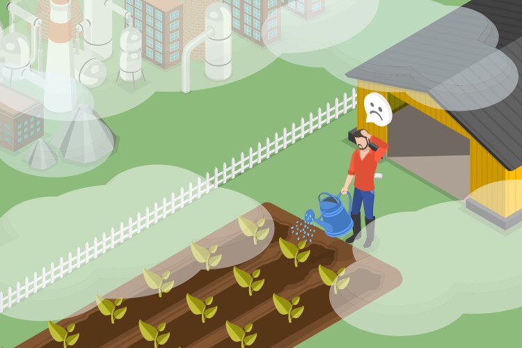 3d isometric flat of rice farm Royalty Free Vector Image