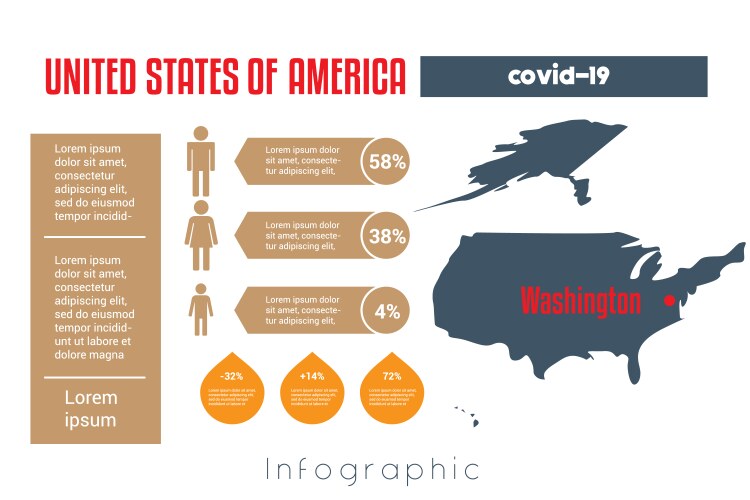 United states of america infographics statistical Vector Image