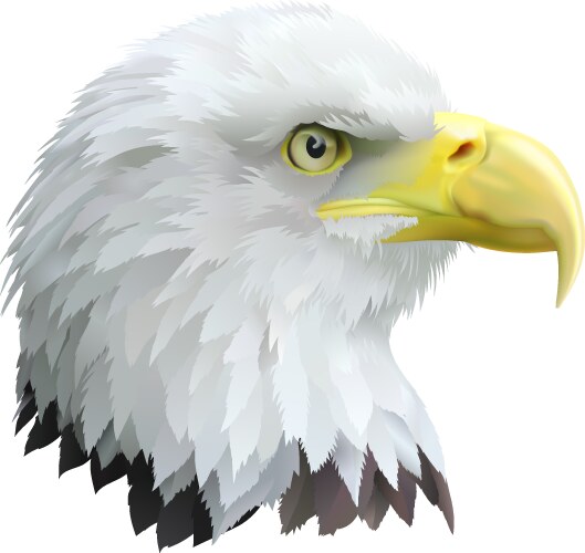 Eagle Vector Images (over 78,000)