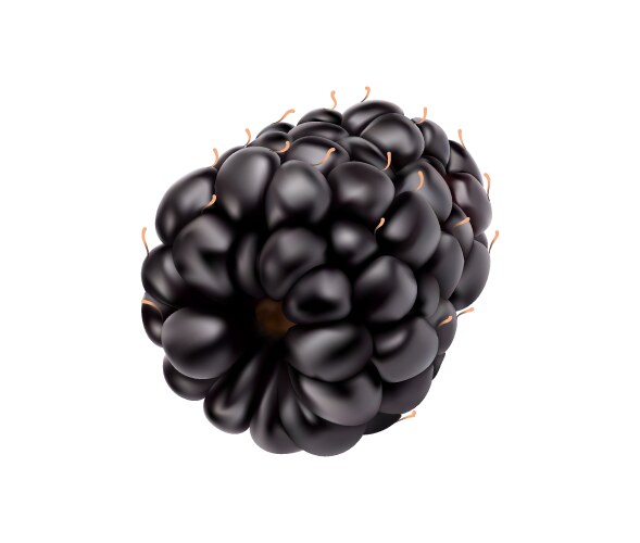 Ripe Vector Images (over 320,000)