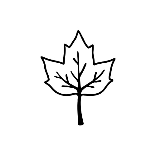 Maple Leaf Drawing Vector Images (over 13,000)