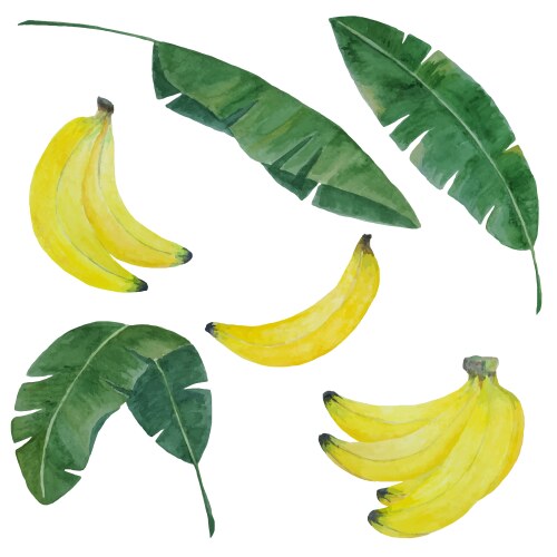 Banana Vector Images (over 89,000)