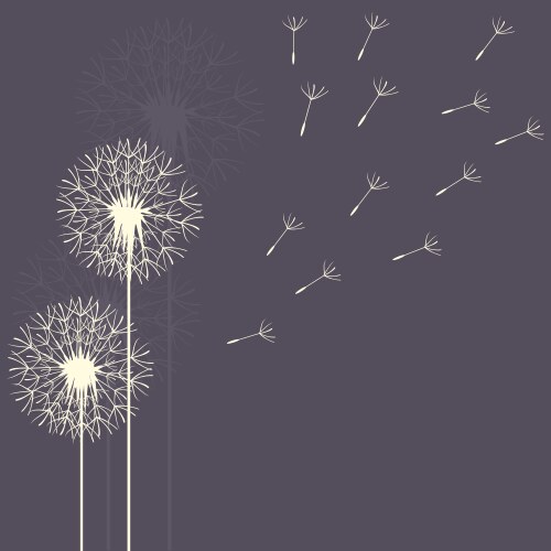 Dandelion Vector Images (over 14,000)