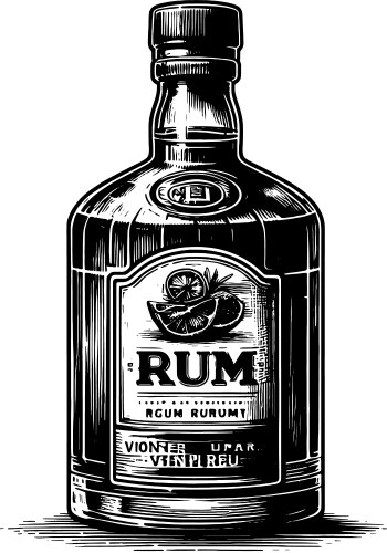 Hand drawn rum bottle labels with intricate Vector Image