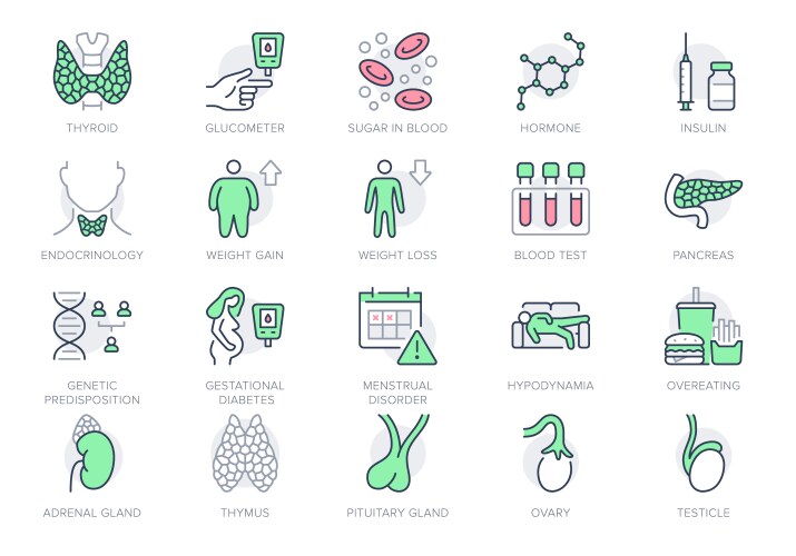 Endocrinology Vector Images (over 2,000)
