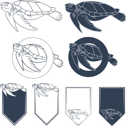 Turtle Vector Images (over 33,000)