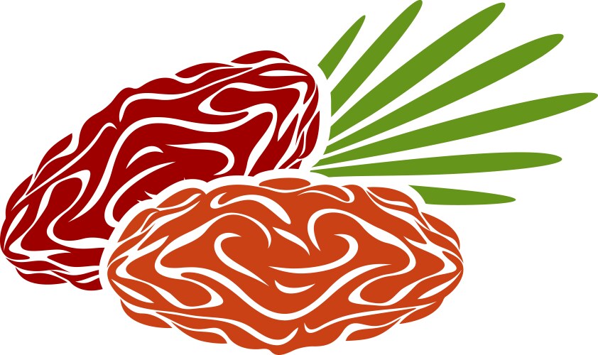 Dates fruits designs Royalty Free Vector Image