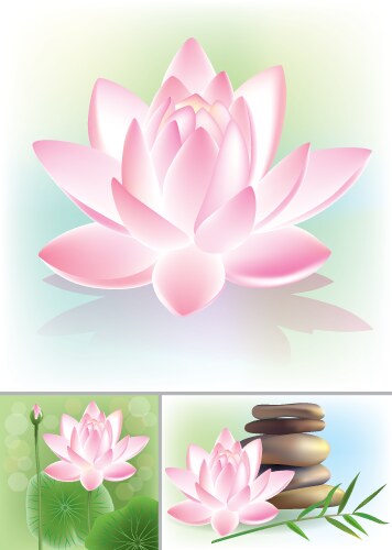 Lotus Vector Images (over 100,000)