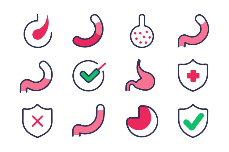 Empty Stomach Vector Images (over 310)