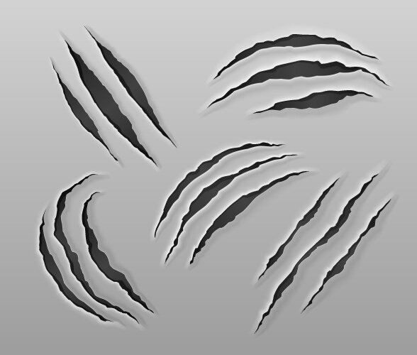 Paw Mark Vector Images (über 13,000)