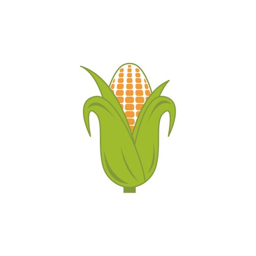 Corn Royalty Free Vector Image - VectorStock