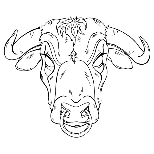 Head an evil bull with a ring in its nose Vector Image