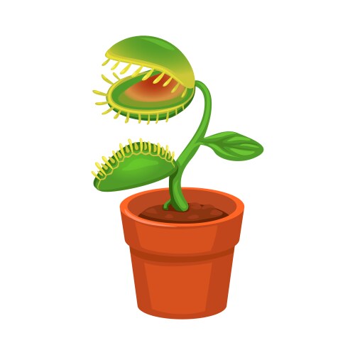 Cartoon scary carnivorous plant on white Vector Image